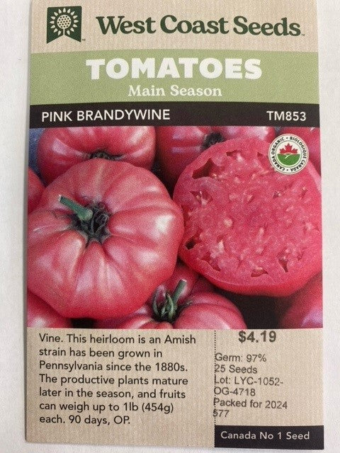 Tomatoes Main Season - Pink Brandywine 25 Seeds – Tree of Life Inc.