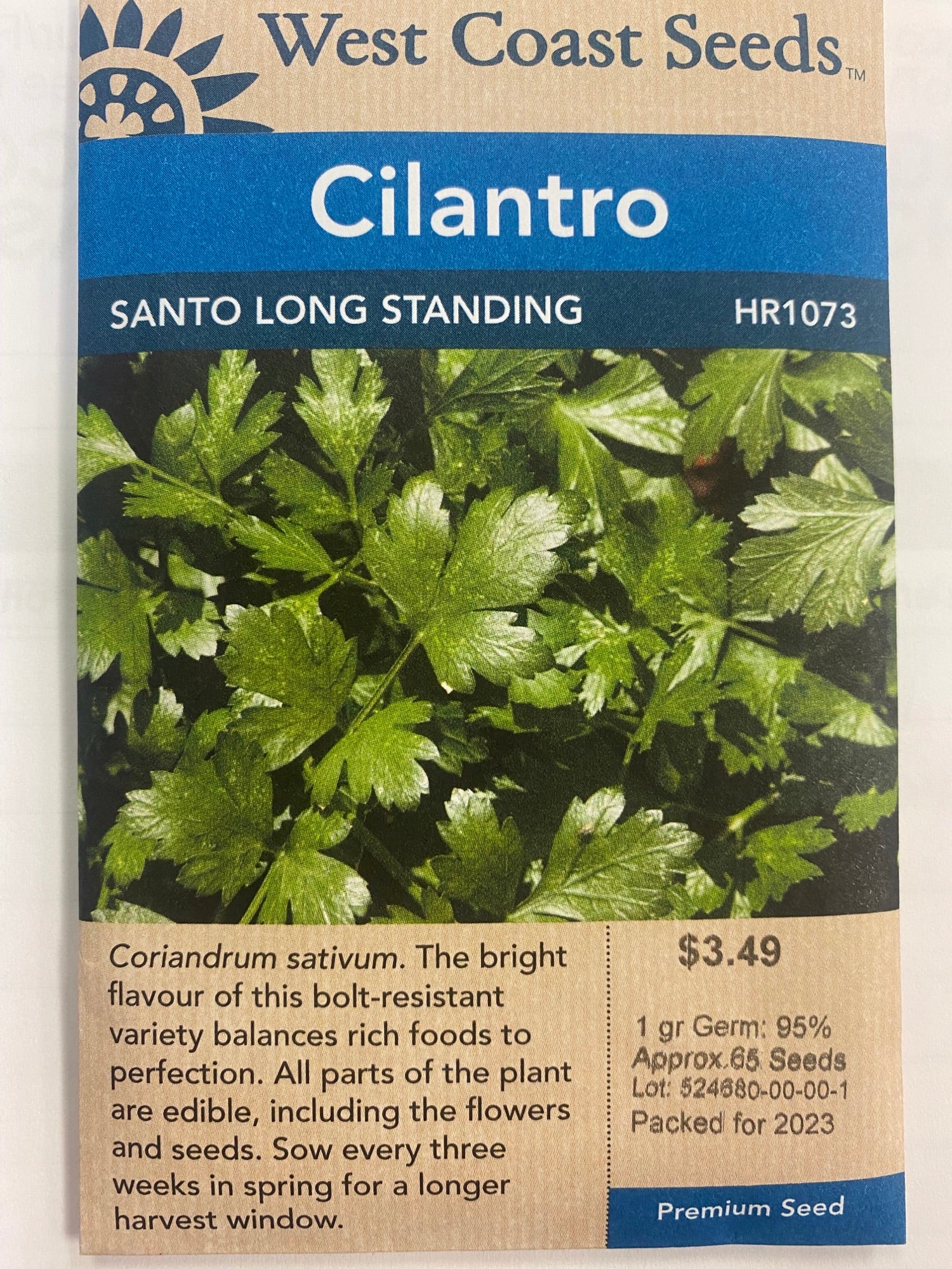 Cilantro - Santo Long Standing 1gr – Tree of Life Inc.
