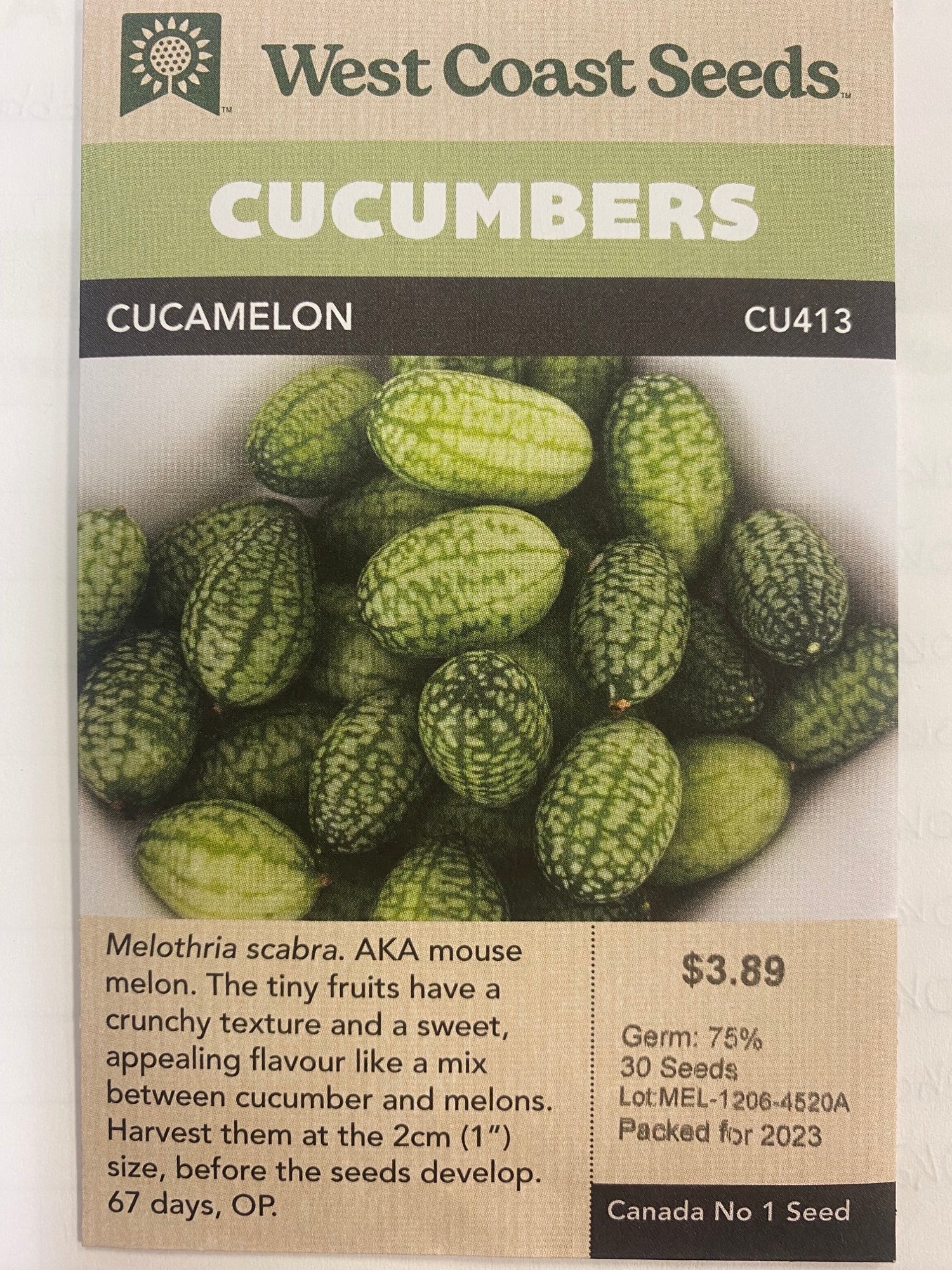 Cucumbers - Cucamelon 30 Seeds – Tree of Life Inc.