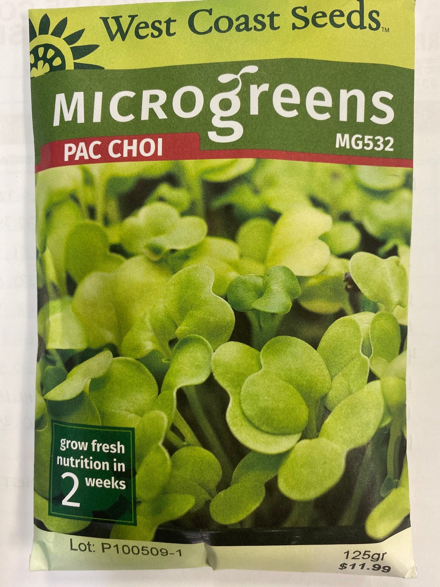 Microgreens - Pac Choi 125gr – Tree of Life Inc.